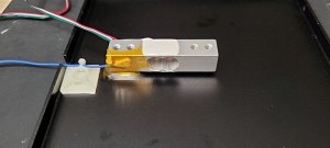 Load Cell Correction - Phidgets